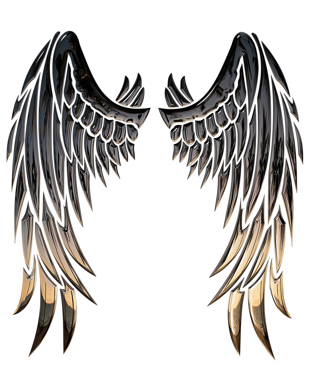 Wings